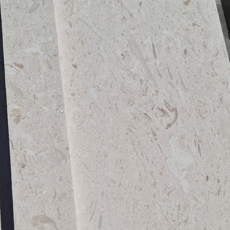Turkish White Shell Limestone | Likya Royal Limestone